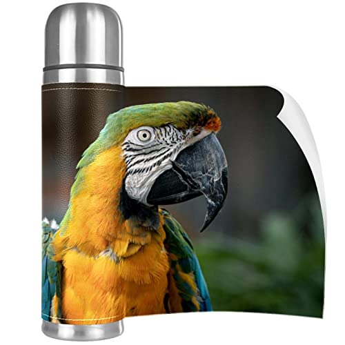 Animal Parrot Vacuum Insulated Water Bottle Stainless Steel Thermos Flask Travel Mug Coffee Cup Double Walled 17 OZ