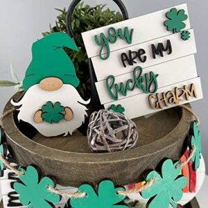 12PC St.Patrick's Day Tiered Tray Decor Set, Shamrocks Green Gnome Wooden Signs Decor, Rustic Farmhouse Tray Sets for Kitchen Home Table Mini Decor Holiday Party Supplies