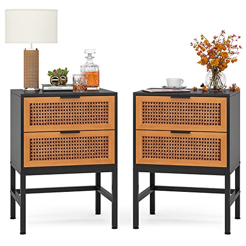 Tribesigns 2-Drawers Nightstands Set of 2, Black Wood Night Stand, Mid-Century Bedside Table, Retro Nightstands with Metal Legs, Bed Side Table for Bedroom, Rattan Nightstand with Big Storage