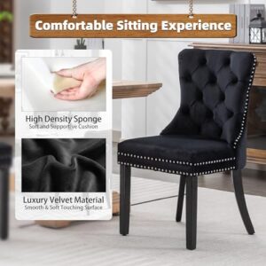 GOOLON Velvet Dining Chair Set of 2 Wingback Tufted Chairs for Dining Room Upholstered Dining Chairs with Nailhead Rivet Trim Design Pull Ring on Backrest Wood Legs for Kitchen Dining Room Black