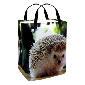 Cute Hedgehog Print Collapsible Laundry Hamper, 60L Waterproof Laundry Baskets Washing Bin Clothes Toys Storage for Dorm Bathroom Bedroom