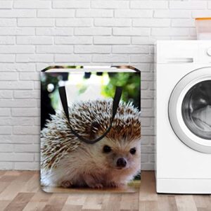 Cute Hedgehog Print Collapsible Laundry Hamper, 60L Waterproof Laundry Baskets Washing Bin Clothes Toys Storage for Dorm Bathroom Bedroom