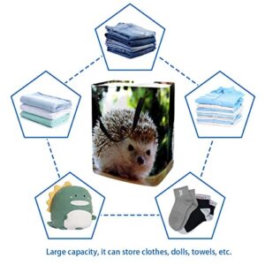 Cute Hedgehog Print Collapsible Laundry Hamper, 60L Waterproof Laundry Baskets Washing Bin Clothes Toys Storage for Dorm Bathroom Bedroom