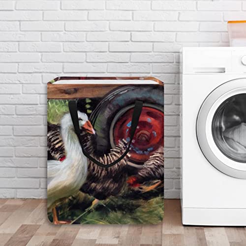 Farm Animals Goose Chinckens Painting Print Collapsible Laundry Hamper, 60L Waterproof Laundry Baskets Washing Bin Clothes Toys Storage for Dorm Bathroom Bedroom