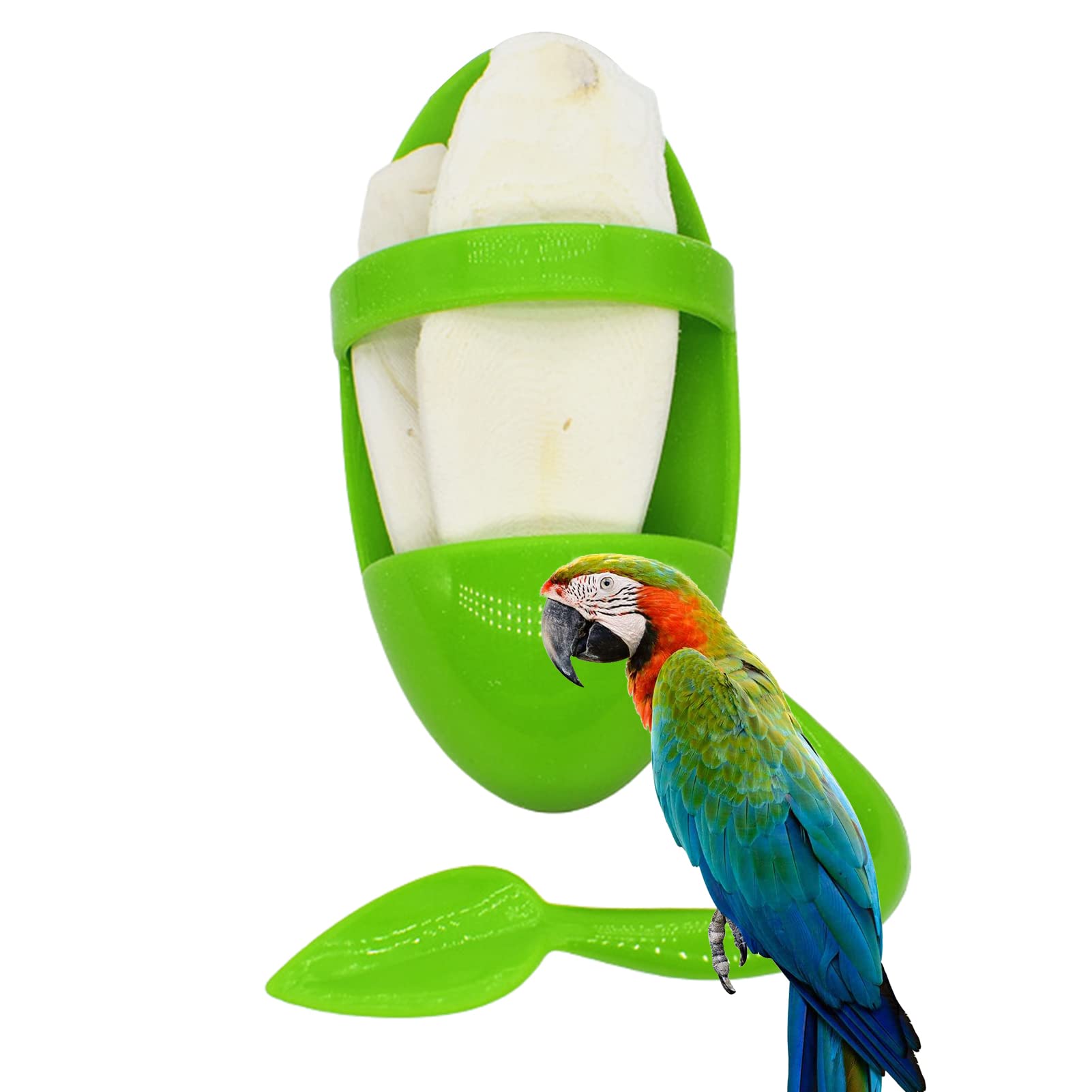 Cuttlebone Holder for Bird Cage | Cuttlebone Stand Cuddle Bone Feeding Cup Rack | Cuttlefish Bone Beaks, Natural Birds Calcium Parrots Cockatiels Budgie Lokoo