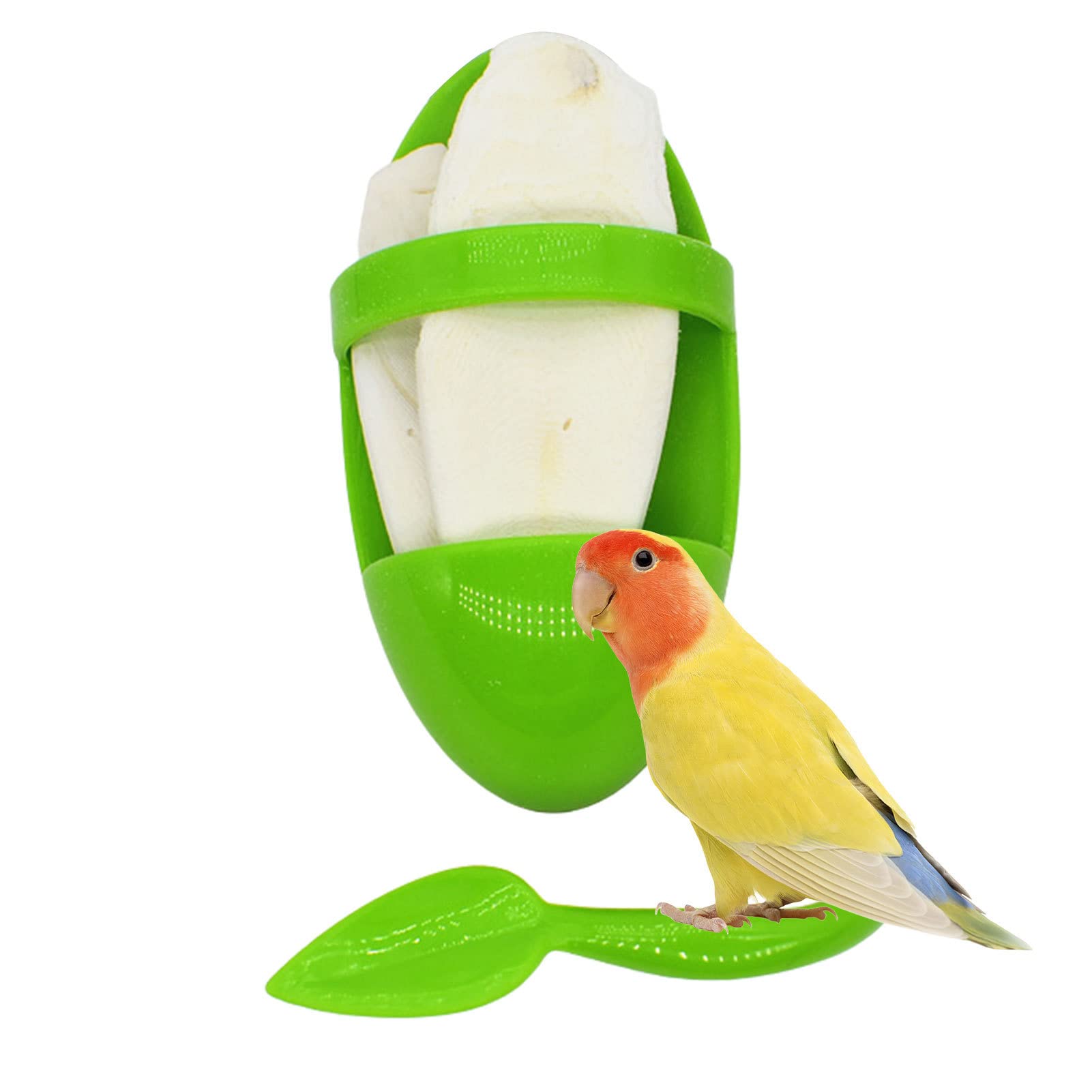 Cuttlebone Holder for Bird Cage | Cuttlebone Stand Cuddle Bone Feeding Cup Rack | Cuttlefish Bone Beaks, Natural Birds Calcium Parrots Cockatiels Budgie Lokoo