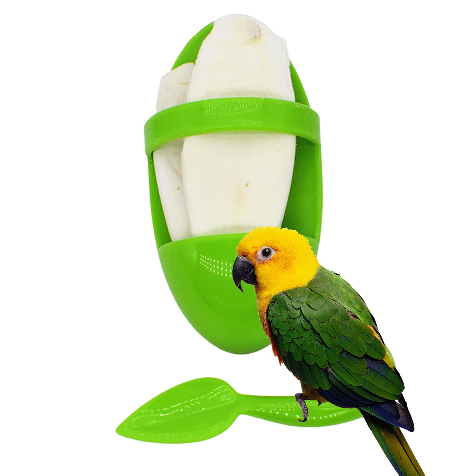 Cuttlebone Holder for Bird Cage | Cuttlebone Stand Cuddle Bone Feeding Cup Rack | Cuttlefish Bone Beaks, Natural Birds Calcium Parrots Cockatiels Budgie Lokoo