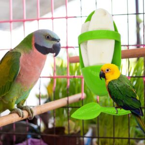 Cuttlebone Holder for Bird Cage | Cuttlebone Stand Cuddle Bone Feeding Cup Rack | Cuttlefish Bone Beaks, Natural Birds Calcium Parrots Cockatiels Budgie Lokoo