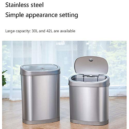 WPYYI Double Classification Sensor Trash Can Smart Stainless Steel Can Auto Sealing Cover Garbage Classification Bins 30/42L ( Size : 30L )