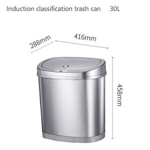 WPYYI Double Classification Sensor Trash Can Smart Stainless Steel Can Auto Sealing Cover Garbage Classification Bins 30/42L ( Size : 30L )