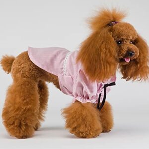 Pet Clothes for Medium Dogs Summer Dog Dress Spring and Summer Spring Cute Pet Supplies for Medium Dogs Female