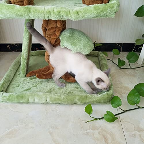 DHDM Cats Tree Cats Climbing Frame Cats Cats Litter Tree Tongtianzhu Climbing Frame House Pet Supplies