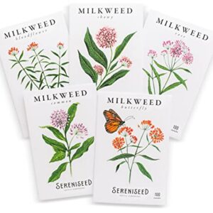 Sereniseed Milkweed Seed Collection (5-Pack)