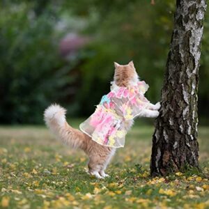 Girl Yorkie Clothes Cotton Dog Dress Spring and Summer Pet Clothes Spring Cute Pet Supplies Cotton Peach Dress