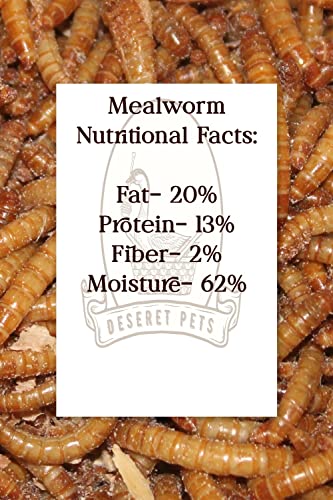 Deseret Pets Live Mealworms 500 Count Large (0.75-1")