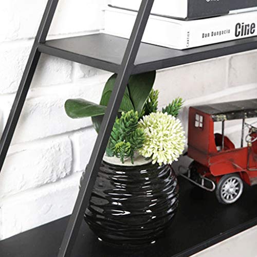 TJLSS 3 Tier Triangular Matte Black Metal Display Shelf, Wall Mounted Rack