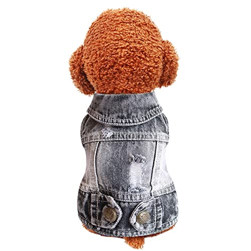 Puppy Shirts for Small Dogs Female Dogs Vest for Small Dog Spring Clothing Cats Breathable Jean Jacket Shirt Fashion Pet Clothes