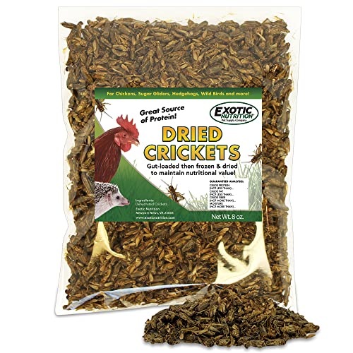 8 oz Dried Crickets - High Protein Insect Treat - Chickens, Wild Birds, Hedgehogs, Bluebirds, Reptiles, Sugar Gliders, Opossums, Skunks, Lizards, Bearded Dragons, Fish, Amphibians, Turtles (1)