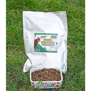 8 oz Dried Crickets - High Protein Insect Treat - Chickens, Wild Birds, Hedgehogs, Bluebirds, Reptiles, Sugar Gliders, Opossums, Skunks, Lizards, Bearded Dragons, Fish, Amphibians, Turtles (1)