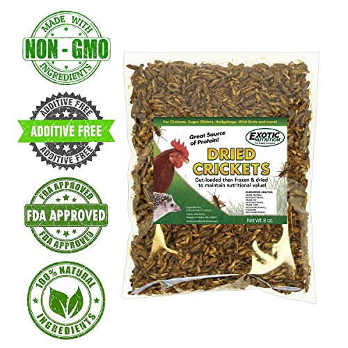 8 oz Dried Crickets - High Protein Insect Treat - Chickens, Wild Birds, Hedgehogs, Bluebirds, Reptiles, Sugar Gliders, Opossums, Skunks, Lizards, Bearded Dragons, Fish, Amphibians, Turtles (1)