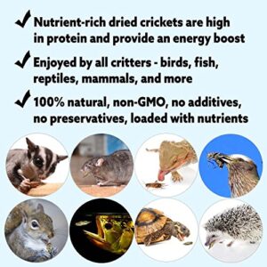 8 oz Dried Crickets - High Protein Insect Treat - Chickens, Wild Birds, Hedgehogs, Bluebirds, Reptiles, Sugar Gliders, Opossums, Skunks, Lizards, Bearded Dragons, Fish, Amphibians, Turtles (1)