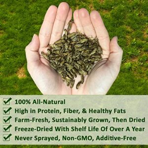 8 oz Dried Crickets - High Protein Insect Treat - Chickens, Wild Birds, Hedgehogs, Bluebirds, Reptiles, Sugar Gliders, Opossums, Skunks, Lizards, Bearded Dragons, Fish, Amphibians, Turtles (1)