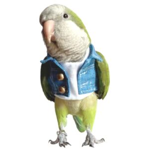 bird costume bird diaper flight suit bird jeans fake two pieces bird clothes cosplay photo prop for parrots lovebird parakeet cockatiel small animals apparel (without diaper,cockatiel)