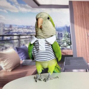 Bird Costume Bird Diaper Flight Suit Bird Summer Clothes Cosplay Photo Prop for Parrots Lovebird Parakeet Cockatiel Small Animals Apparel (Without Diaper,Budgie)