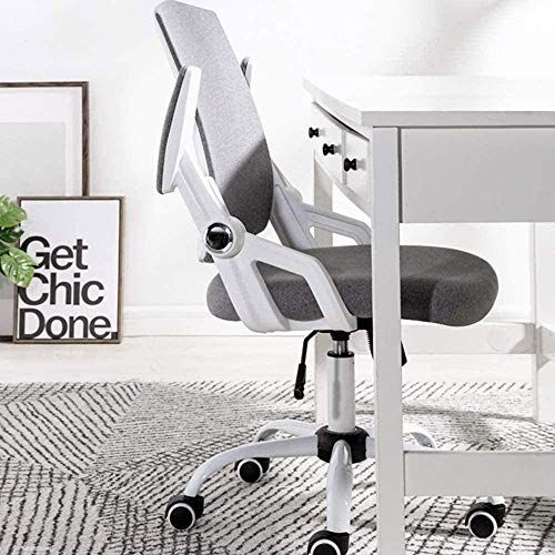 KXDFDC Mid Back Mesh Office Chair Ergonomic Swivel Mesh Computer Chair Flip Up Arms with Lumbar Support Adjustable Height Task Chair (Color : Blue)