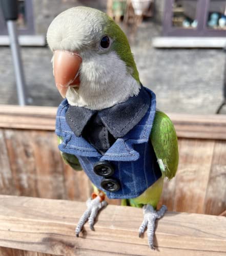 Bird Costume Bird Diaper Flight Suit Bird Jeans Top Bird Clothes Cosplay Photo Prop for Parrots Lovebird Parakeet Cockatiel Small Animals Apparel (Without Diaper,Cockatiel)