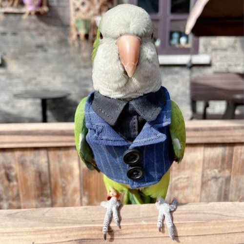 Bird Costume Bird Diaper Flight Suit Bird Jeans Top Bird Clothes Cosplay Photo Prop for Parrots Lovebird Parakeet Cockatiel Small Animals Apparel (Without Diaper,Cockatiel)