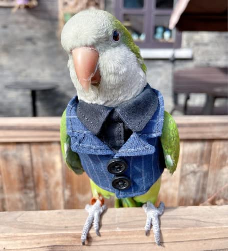 Bird Costume Bird Diaper Flight Suit Bird Jeans Top Bird Clothes Cosplay Photo Prop for Parrots Lovebird Parakeet Cockatiel Small Animals Apparel (Without Diaper,Cockatiel)