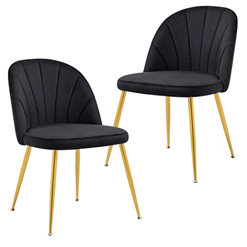 X-VOLSPORT Modern Velvet Dining Chairs Set of 2, Tufted Upholstered Club Chairs Armless Side Chair with Metal Gold Legs, Office Guest Chair for Reception, Accent Chair for Living Room Bedroom, Black