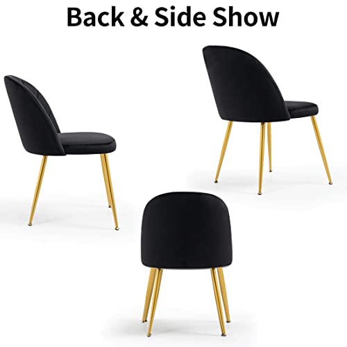 X-VOLSPORT Modern Velvet Dining Chairs Set of 2, Tufted Upholstered Club Chairs Armless Side Chair with Metal Gold Legs, Office Guest Chair for Reception, Accent Chair for Living Room Bedroom, Black