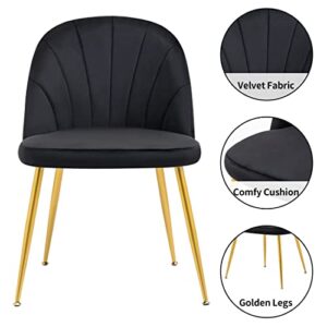 X-VOLSPORT Modern Velvet Dining Chairs Set of 2, Tufted Upholstered Club Chairs Armless Side Chair with Metal Gold Legs, Office Guest Chair for Reception, Accent Chair for Living Room Bedroom, Black