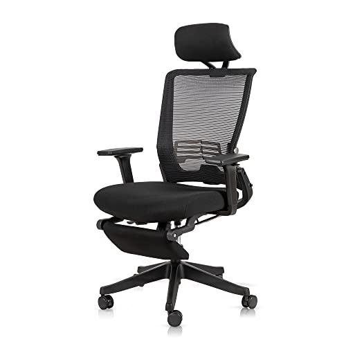 FLEXISPOT Ergonomic Office Chair Mesh Computer Desk Chair with Lumbar Support Swivel High Back Home Office Chair with Foldable Backrest Retractable Footrest