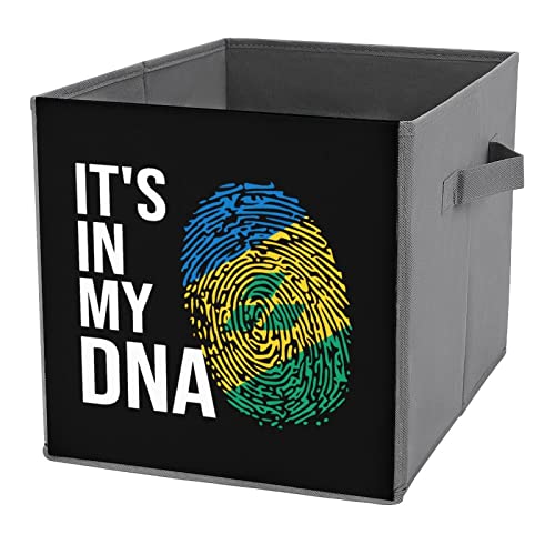 It's in My DNA Saint Vincent and Grenadines Flag Collapsible Storage Bins Cubes Organizer Trendy Fabric Storage Boxes Inserts Cube Drawers 11 Inch