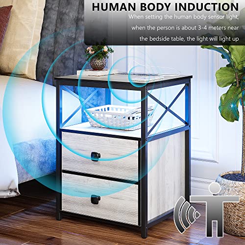 Lvifur LED Nightstand with Charging Station for Bedroom Furniture,3 Color Dimmable Auto Sensor Classical Bedside End Side Table Side Bed Table with 2 Drawers