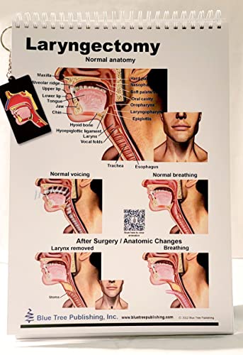 Speech Language Pathology SLP Charts Complete Series with QR Codes for Animation with Mini Head Model, Swallowing, Brain, Larynx, Lungs, Speech Articulation, Voice and More