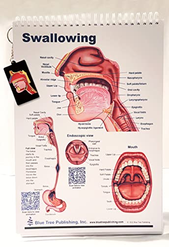 Speech Language Pathology SLP Charts Complete Series with QR Codes for Animation with Mini Head Model, Swallowing, Brain, Larynx, Lungs, Speech Articulation, Voice and More