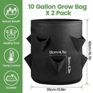 iPower 2-Pack 10 Gallon Strawberry Grow Bags, Vegetables Pots with 8 Planting Holes, Thickened Breathable Nonwoven Fabric with Handles, for Gardening