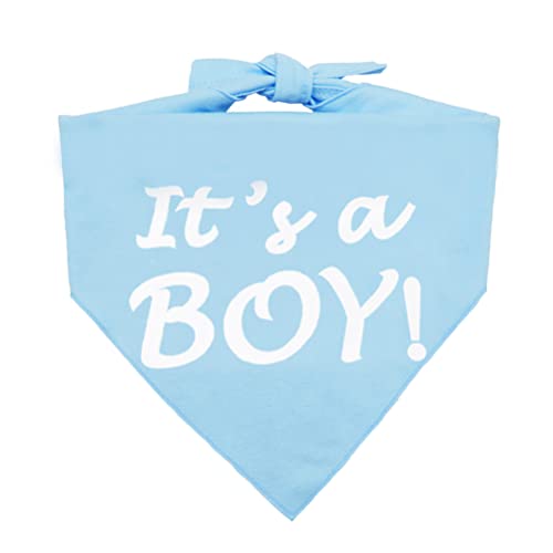 It’s a Boy or It’s a Girl Dog Bandana Pregnancy Announcement Dog Bandana Baby Announcement Triangle Pet Scarf Scarves Gender Reveal Photo Prop Blue