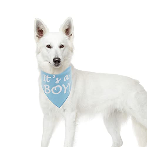 It’s a Boy or It’s a Girl Dog Bandana Pregnancy Announcement Dog Bandana Baby Announcement Triangle Pet Scarf Scarves Gender Reveal Photo Prop Blue