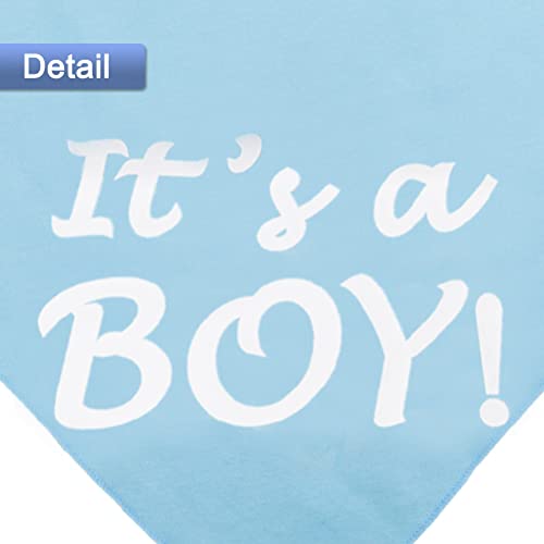 It’s a Boy or It’s a Girl Dog Bandana Pregnancy Announcement Dog Bandana Baby Announcement Triangle Pet Scarf Scarves Gender Reveal Photo Prop Blue