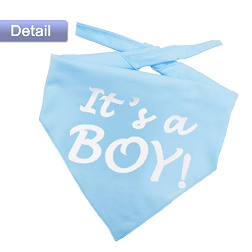 It’s a Boy or It’s a Girl Dog Bandana Pregnancy Announcement Dog Bandana Baby Announcement Triangle Pet Scarf Scarves Gender Reveal Photo Prop Blue