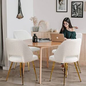 JUFU Dining Chairs Set of 4 Teddy Fleece Chair, Modern Side Chairs Upholstered Dining Room Chairs with Soft Cushion Seat & Gold Metal Legs Mid Century Chairs for Dining Room/Living Room/Kitchen