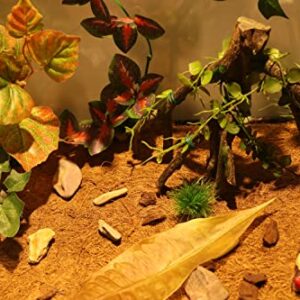 HRRIVE Reptile Corner Climbing Branch with Plant Leaves Terrarium Habitat Decoration for Bearded Dragon Lizard Snake Hermit Crab Crested Gecko Leopard Chameleon Frog Climbing Accessory