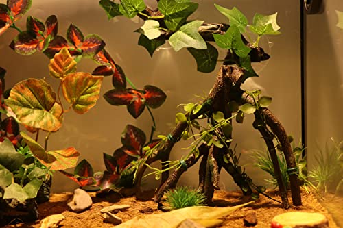 HRRIVE Reptile Corner Climbing Branch with Plant Leaves Terrarium Habitat Decoration for Bearded Dragon Lizard Snake Hermit Crab Crested Gecko Leopard Chameleon Frog Climbing Accessory