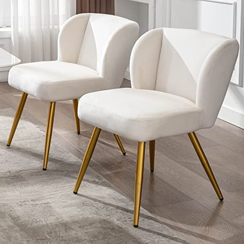 VESCASA Velvet Dining Chairs with Padded Back, Modern Upholstered Accent Chairs with 4 Gold Metal Legs for Dining/Living Room/Bedroom, Set of 2, Cream