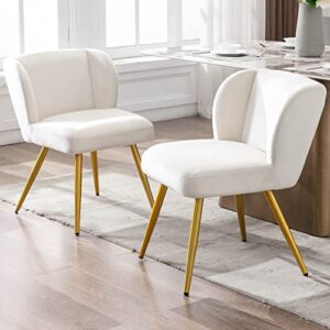 VESCASA Velvet Dining Chairs with Padded Back, Modern Upholstered Accent Chairs with 4 Gold Metal Legs for Dining/Living Room/Bedroom, Set of 2, Cream